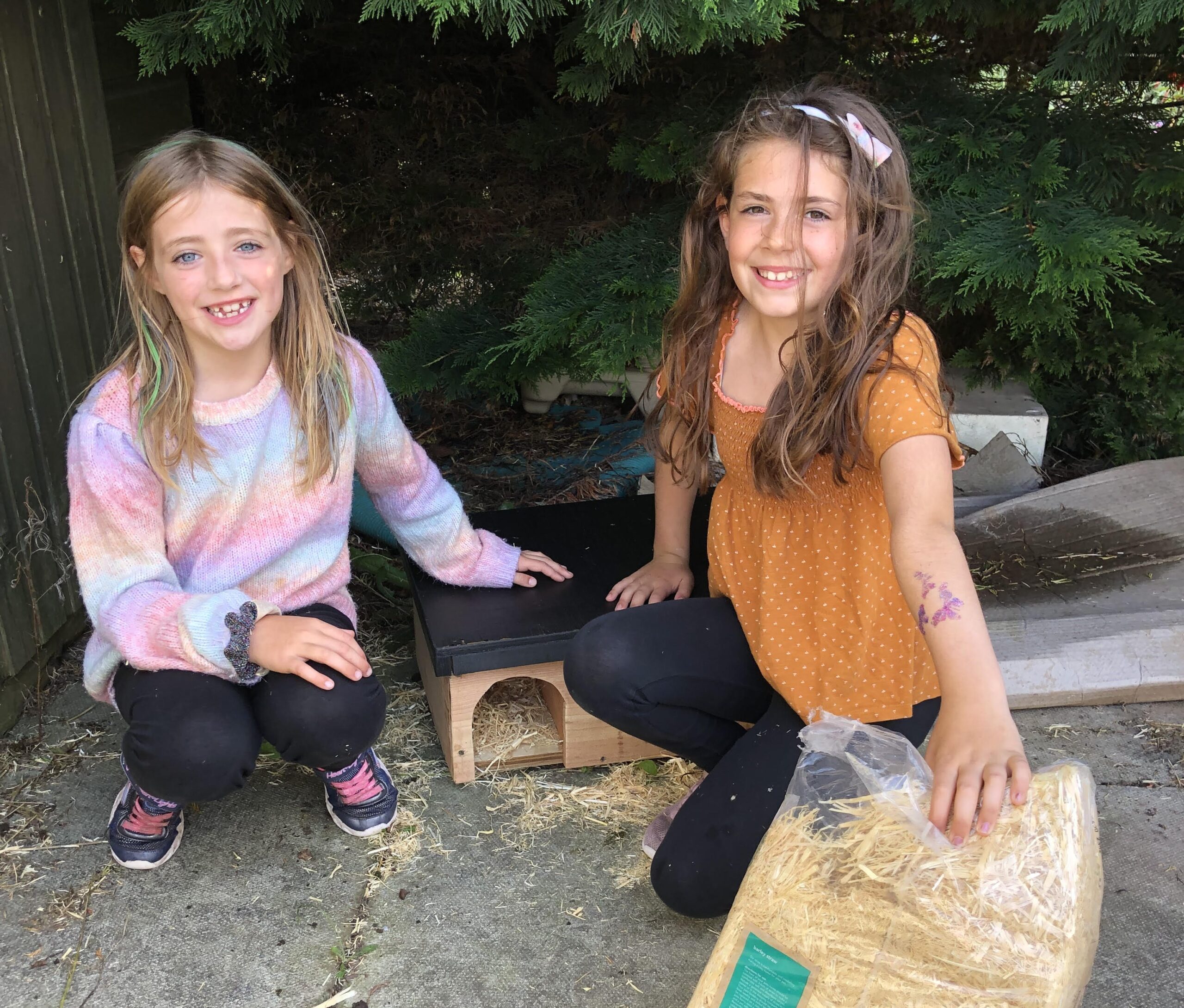 Pledgehog – Sustaining Dunbar