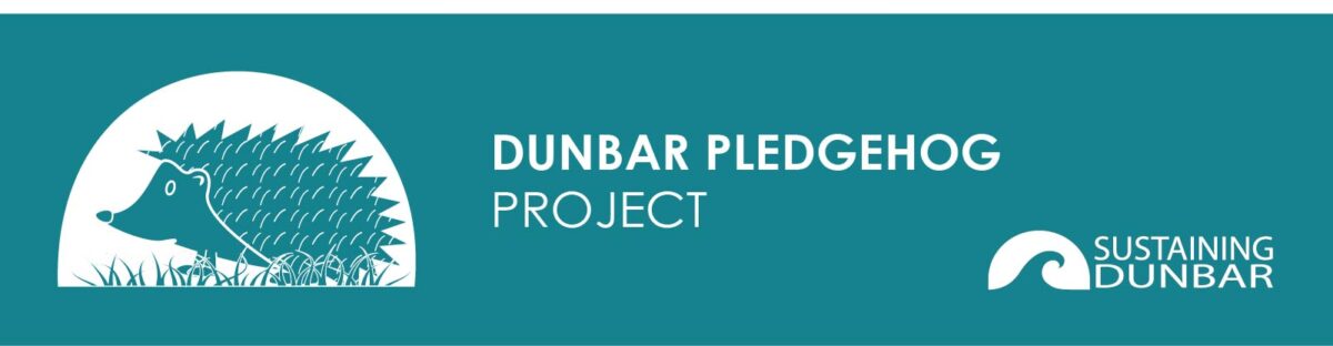 The Pledgehog Project – Sustaining Dunbar